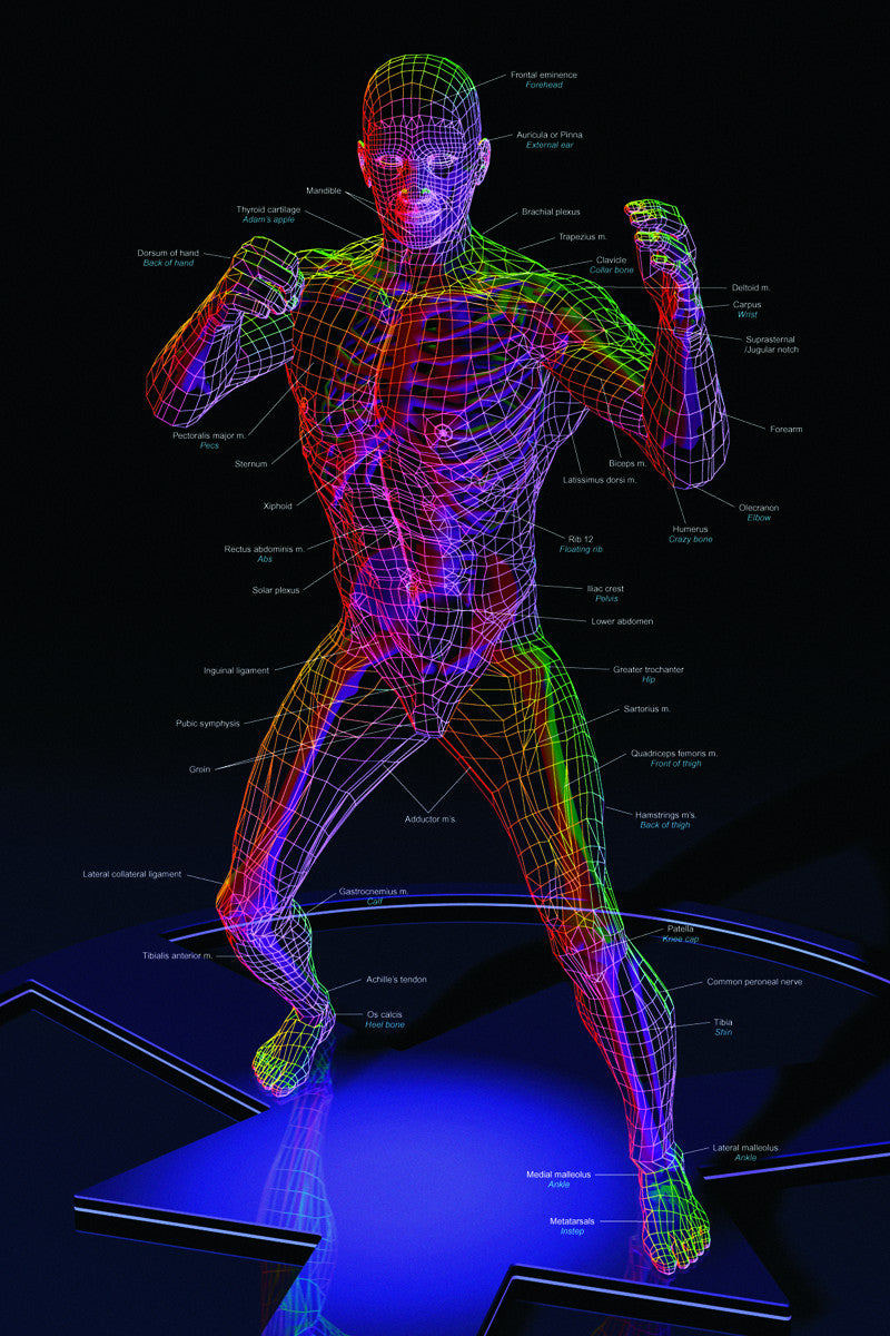 Buy Training Posters Online In Usa | ASP, Inc